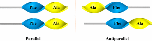 手性驱动的Phe–Ala脂二肽的平行和反平行β-Sheet二级结构,Langmuir - X-MOL