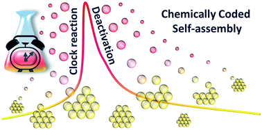 Chemically coded time-programmed self-assembly†,Molecular Systems ...