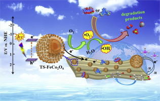 Multi-shelled FeCo2O4 hollow porous microspheres/CCFs magnetic hybrid ...