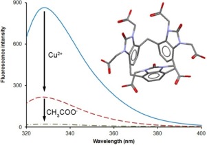Carboxymethyl-substituted benzo[3]uril and its application in ion-pair ...