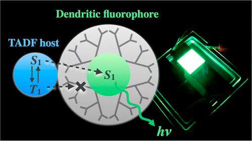 Spin-Dependent Exciton Funneling to a Dendritic Fluorophore Mediated by ...