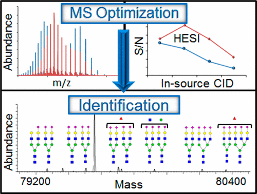 Optimizing High-Resolution Mass Spectrometry for the Identification of ...