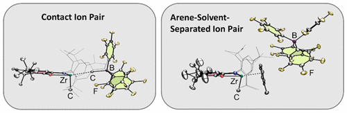 Zirconium Complexes of a Rigid, Dianionic Pincer Ligand: Alkyl Cations ...