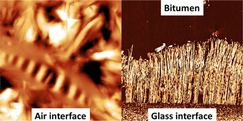 Intermolecular Interactions of Isolated Bio-Oil Compounds and Their ...