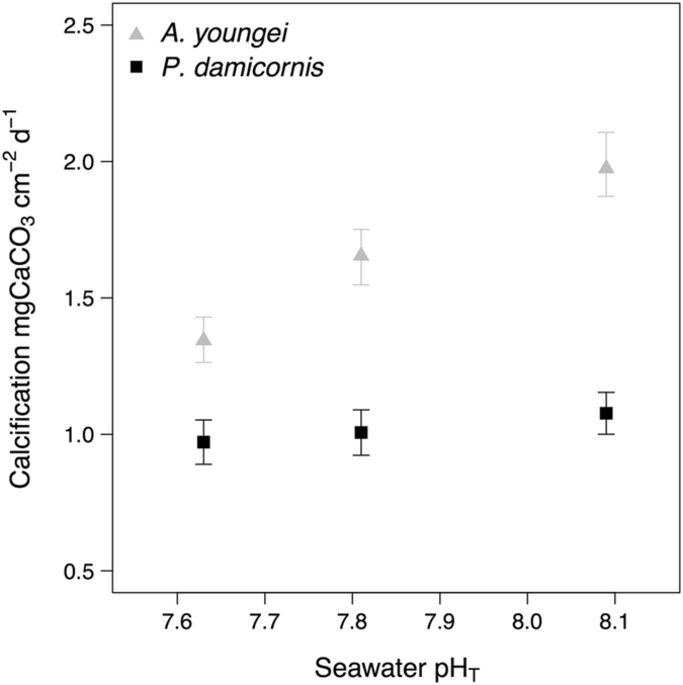 Decoupling between the response of coral calcifying fluid pH and ...
