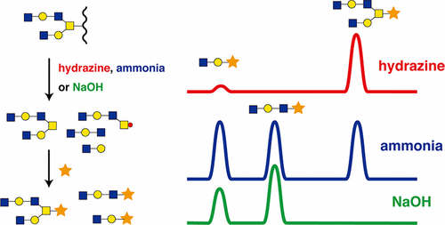 Comparison of Methods to Release Mucin-Type O-Glycans for Glycomic ...