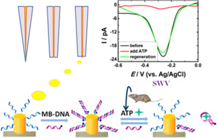 Electrochemical aptamer-based nanosensor fabricated on single Au ...