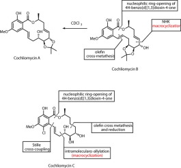 Chemical syntheses of the cochliomycins and certain related resorcylic ...