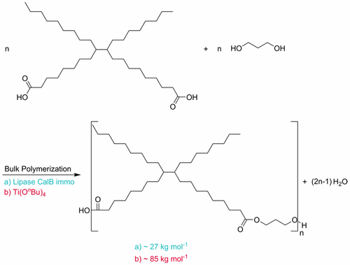 酶和金属催化合成新型生物基聚酯,Organic Process Research & Development - X-MOL