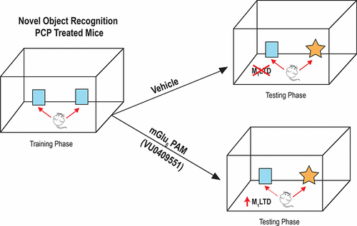mGlu 5 受体和抑制性神经传递在额叶皮层M 1 依赖毒蕈碱LTD中的作用：对精神分裂症的影响。,ACS Chemical ...