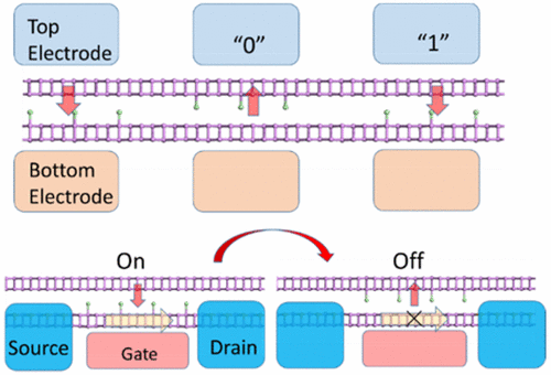 Chemically Functionalized Phosphorene: Two-Dimensional Multiferroics ...