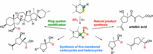 Photoinduced Carboborative Ring Contraction Enables Regio- and ...