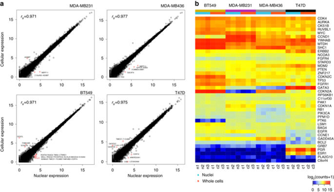 Nanogrid single-nucleus RNA sequencing reveals phenotypic diversity in breast cancer.,Nature ...