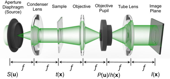 High-resolution transport-of-intensity quantitative phase microscopy ...