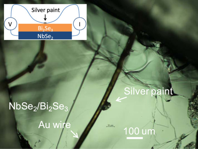 Proximity-effect-induced Superconducting Gap in Topological Surface ...