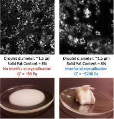 Dispersed droplets as active fillers in fat-crystal network-stabilized ...
