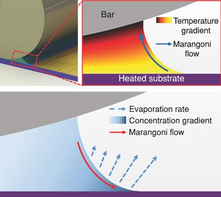 Marangoni‐Effect‐Assisted Bar‐Coating Method for High‐Quality Organic ...