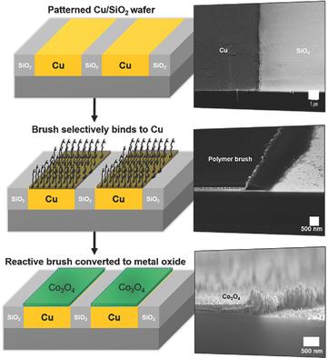 Area Selective Polymer Brush Deposition,Macromolecular Rapid ...