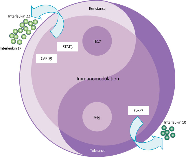 Immunotherapeutic approaches to treatment of fungal diseases.,The ...
