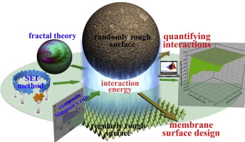 Quantitative assessment of interfacial forces between two rough ...