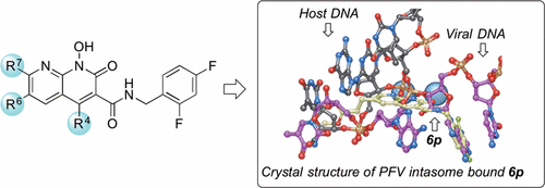 Structure-Guided Optimization of HIV Integrase Strand Transfer ...