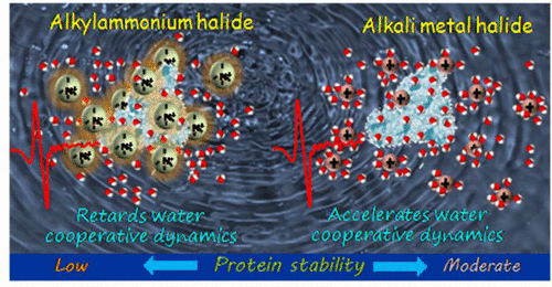 Decisive Role of Hydrophobicity on the Effect of Alkylammonium ...
