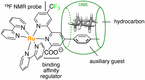 Probing Interactions between Hydrocarbons and Auxiliary Guests inside ...