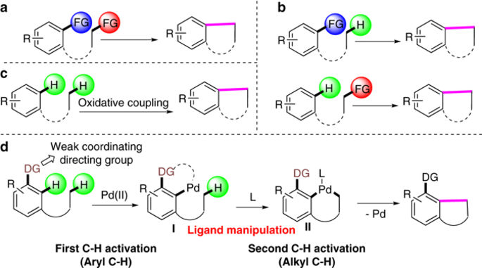 Oxidative coupling of sp 2 and sp 3 carbon-hydrogen bonds to construct ...