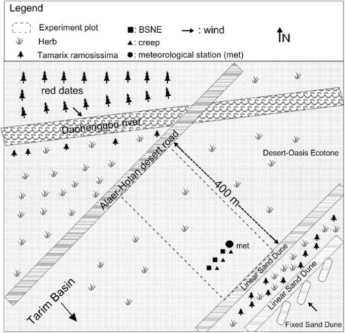 Windblown sediment transport and loss in a desert-oasis ecotone in the ...