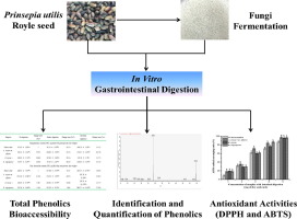Bioaccessibility and antioxidant activity of phenolics in native and ...