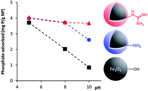 Fe3O4 nanoparticles coated with a guanidinium-functionalized ...
