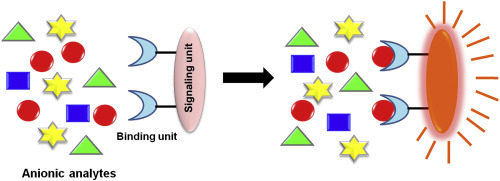 Anion sensing with chemosensors having multiple –NH recognition units,Trends in Analytical ...