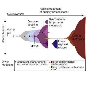 Genomic Evolution of Breast Cancer Metastasis and Relapse.,Cancer Cell ...