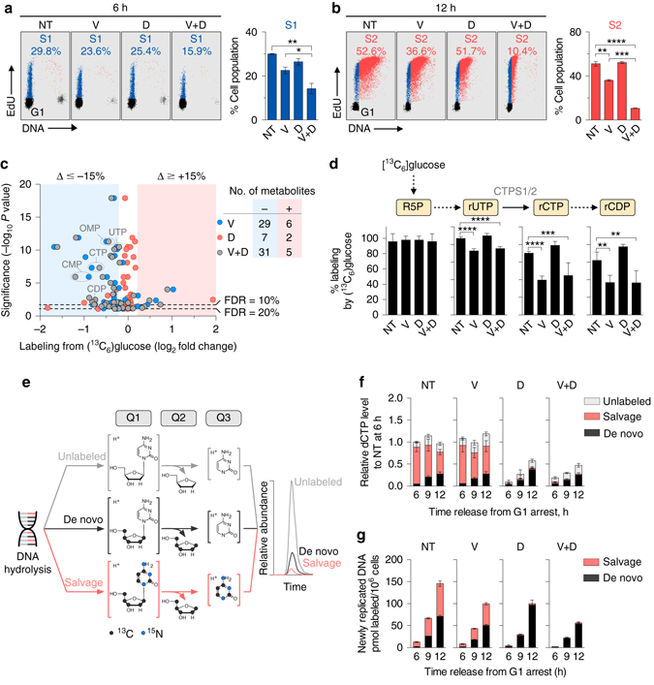ATR inhibition facilitates targeting of leukemia dependence on ...