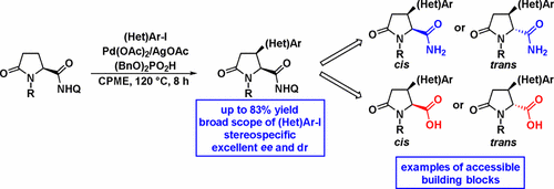 Stereospecific Palladium-Catalyzed C–H Arylation of Pyroglutamic Acid ...