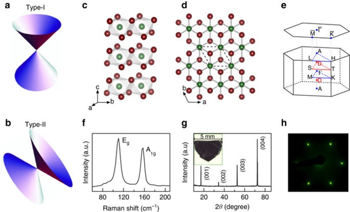 Lorentz-violating type-II Dirac fermions in transition metal ...