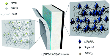 An advanced construction strategy of all-solid-state lithium batteries ...