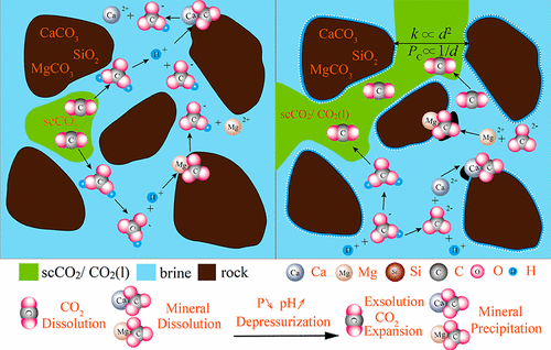 Effect of Mineral Dissolution/Precipitation and CO2 Exsolution on CO2 ...