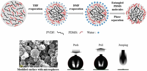 使用方便和良性的微球涂层设计用于膜蒸馏的PDMS-PVDF膜的折返层级和表面能,Environmental Science ...