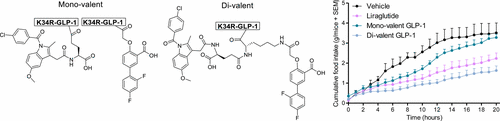 Peptide Half-Life Extension: Divalent, Small-Molecule Albumin ...