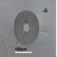 Ultrafast laser inscription in ZBLAN integrated optics chips for mid-IR ...