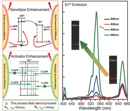 Plasmonic Dual‐Enhancement and Precise Color Tuning of Gold Nanorod ...