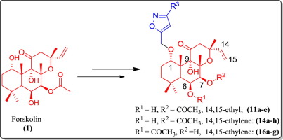 Synthesis of novel forskolin isoxazole derivatives with potent anti ...