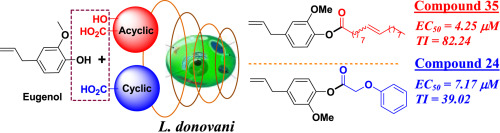 Eugenol derived immunomodulatory molecules against visceral leishmaniasis,European Journal of ...
