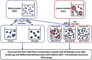 Determination of hydro-colloidal characteristics of milk protein ...