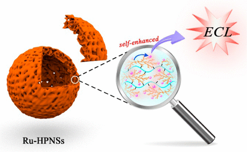 Hollow Porous Polymeric Nanospheres of a Self-Enhanced Ruthenium ...