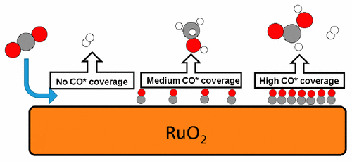 Role of CO* as a Spectator in CO2 Electroreduction on RuO2,The Journal of Physical Chemistry C ...