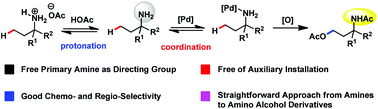 Palladium catalyzed C(sp3)–H acetoxylation of aliphatic primary amines ...