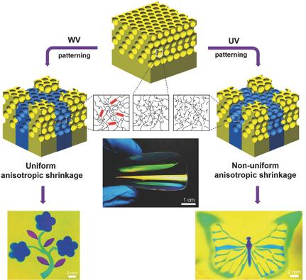 Modulation of Multiscale 3D Lattices through Conformational Control: Painting Silk Inverse Opals ...
