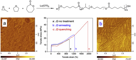 [PCL-b-P(THF-co-CL)]m multiblock copolymer synthesized by Janus ...